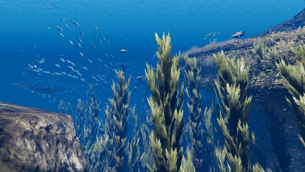 夏を感じよう！VRChatオススメ海ワールド11選 | メタカル最前線